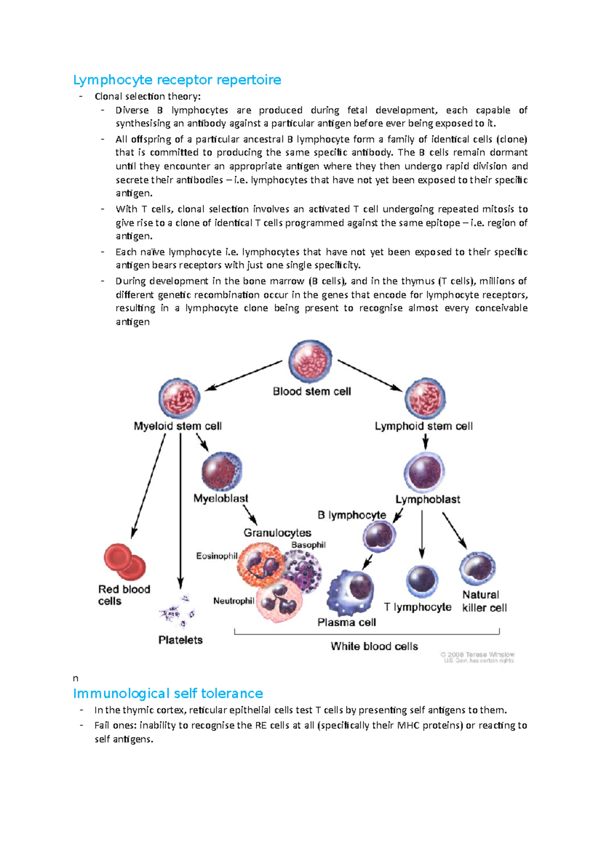 Immunology 2 - Lymphocyte receptor repertoire Clonal selection theory ...