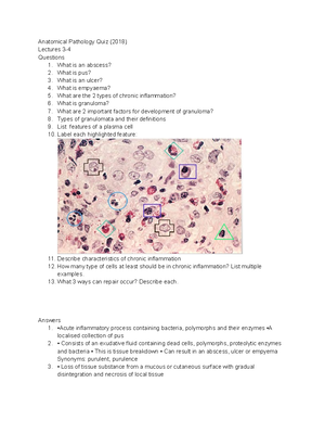 Pathology Exam Questions and Answers - Explain the role of each type ...