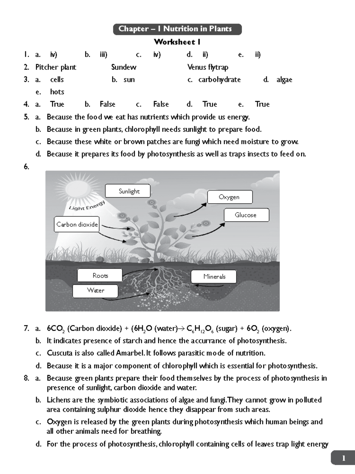 AP-Science-7-Answer - Welcome - Chapter – 1 Nutrition in Plants ...