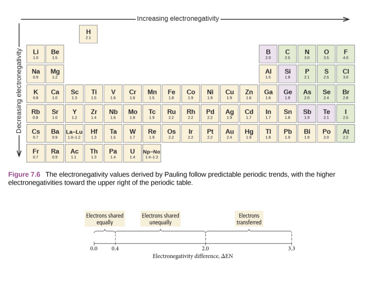 Electronegativity table - ECE 171 - Studocu