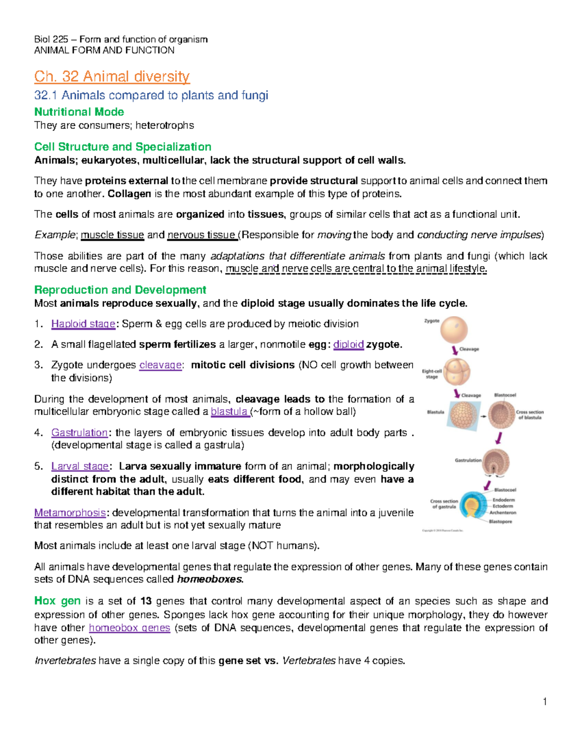 BIOL 225 Animal Review - Overall Summary for each chapter - ANIMAL FORM ...