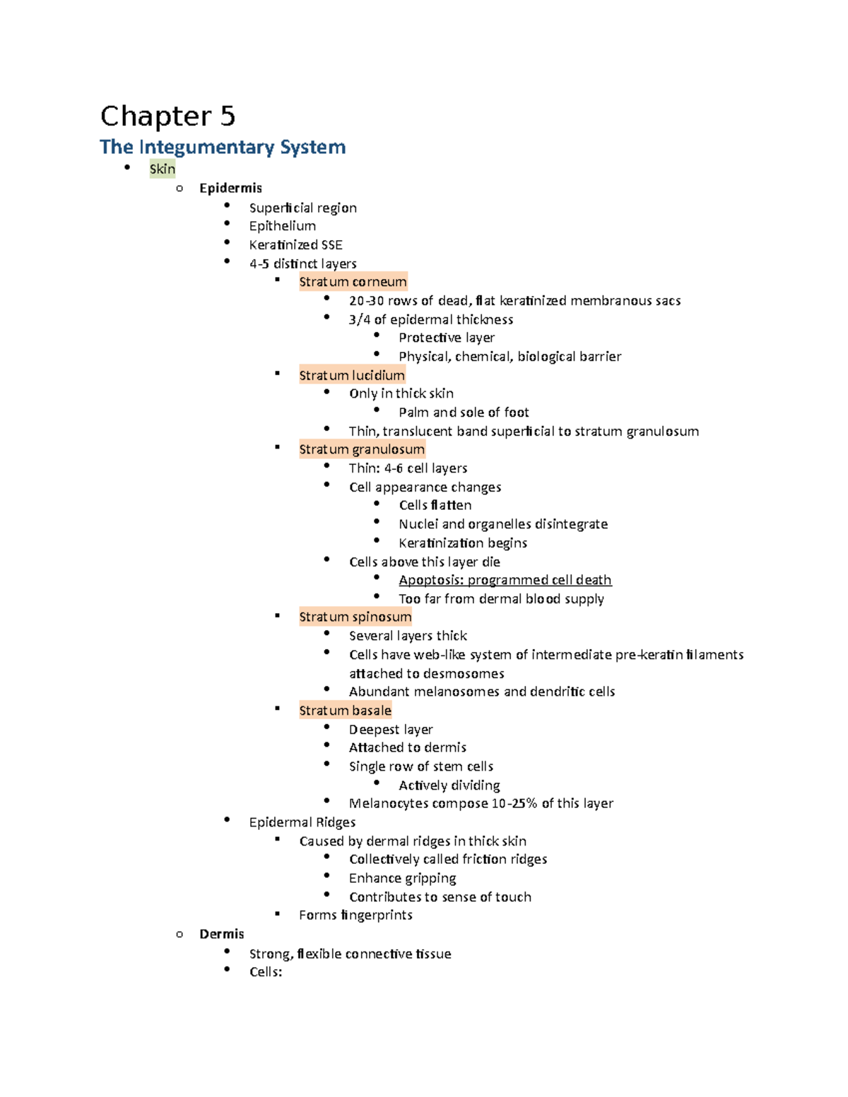 Chapter 5 Bio 208 - The integumentary system - Chapter 5 The ...