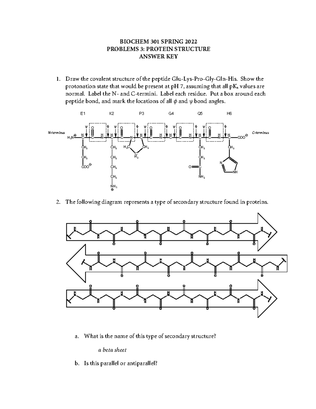 Problems 03 - Protein Structure - Key - BIOCHEM 301 SPRING 2022 ...
