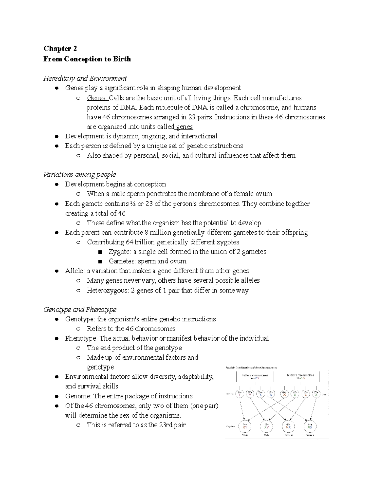 Fcs 1500 from conception to birth lecture 3 - Chapter 2 From Conception ...