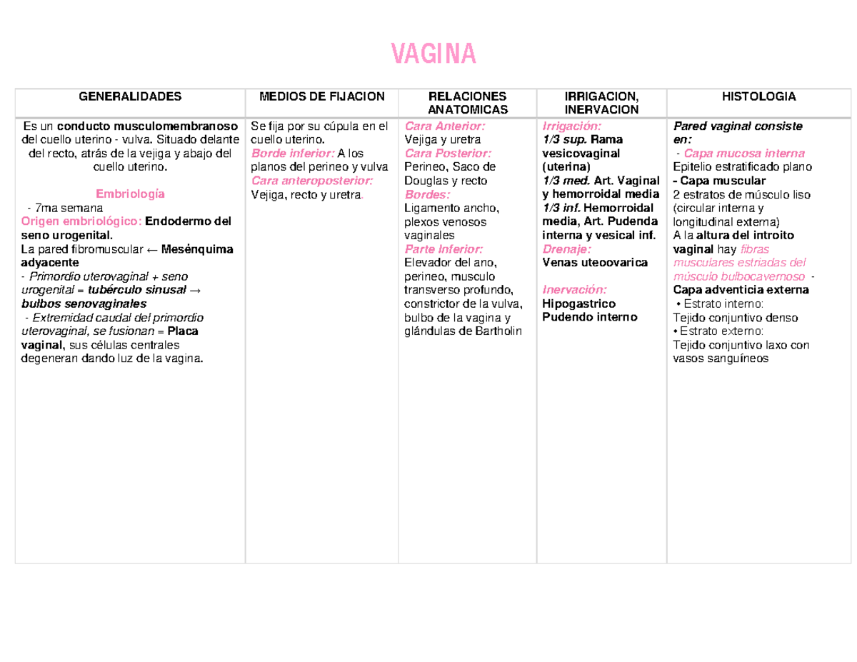 Cuadro de anatomia e histologia de VAGINA - Warning: TT: undefined function: 32 VAGINA ...
