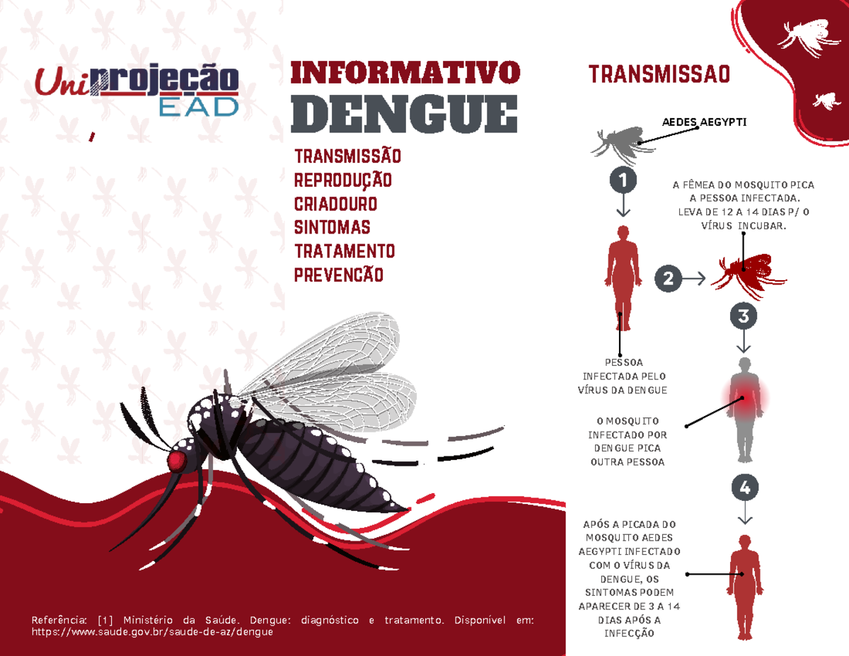 Folheto Informativo Dengue - transmissao transmissao reproducao ...
