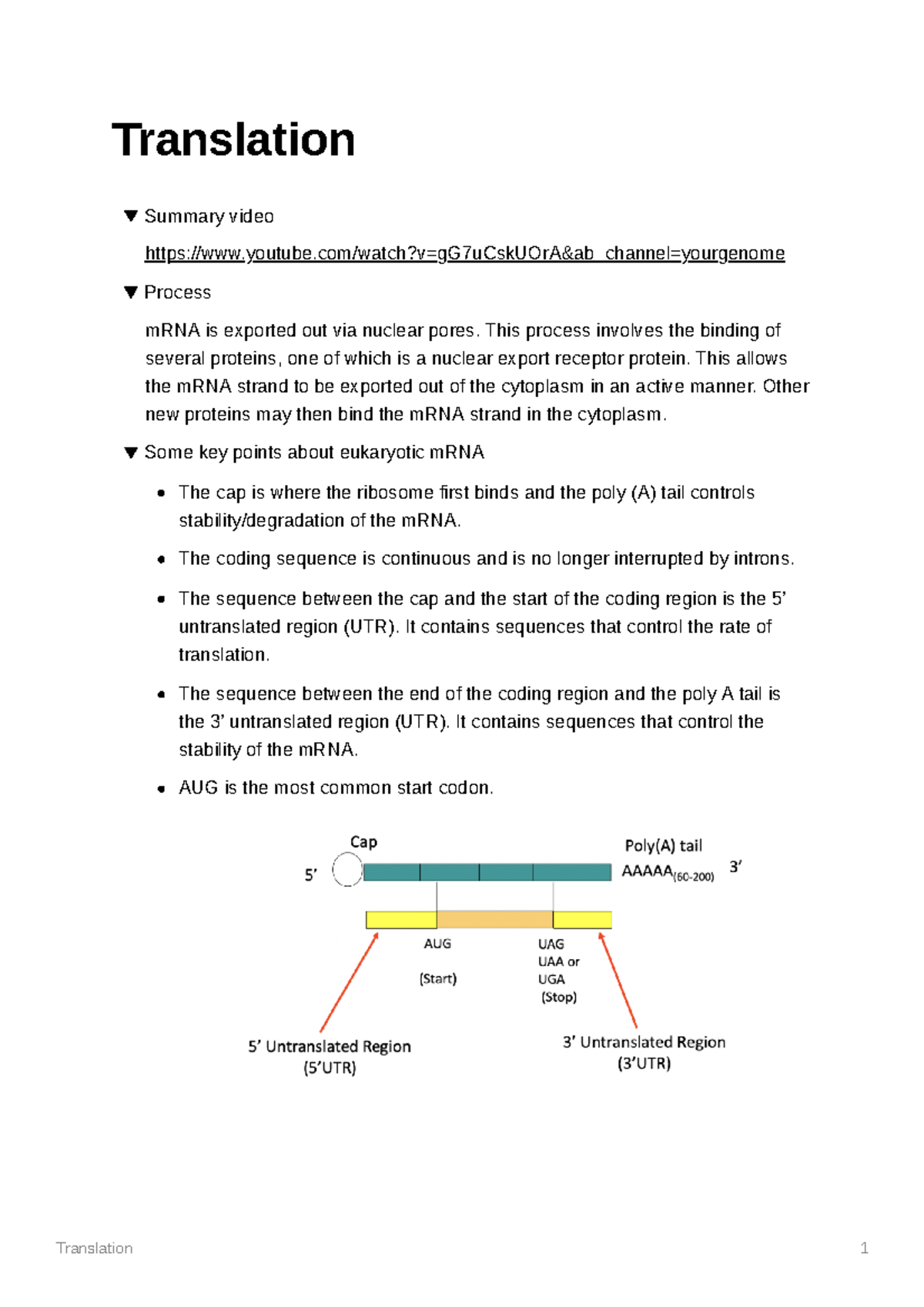 Translation notes - Translation Summary video youtube/watch?v ...