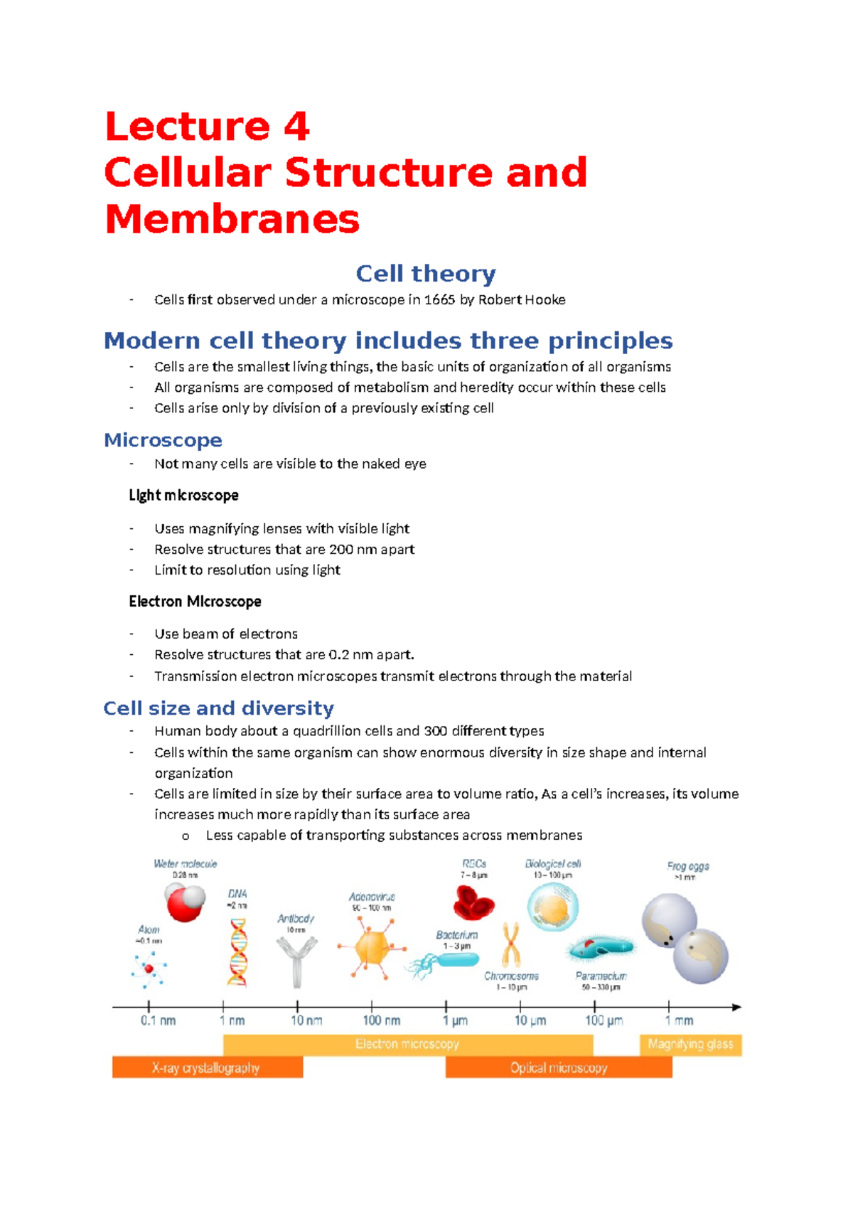 Lecture 4 - Lecture 4 Cellular Structure and Membranes Cell theory - Cells first observed under ...