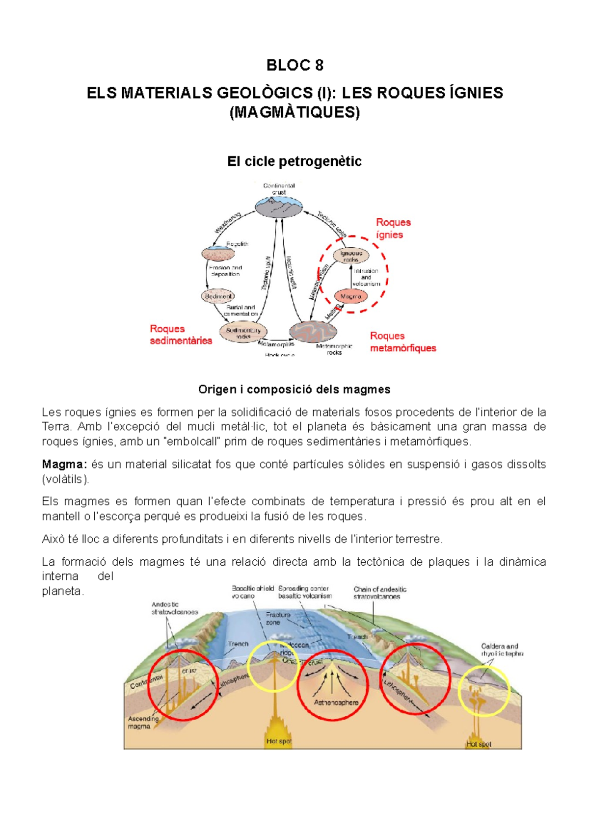 Tema 8: classificació de les roques - BLOC 8 ELS MATERIALS GEOLÒGICS (I ...