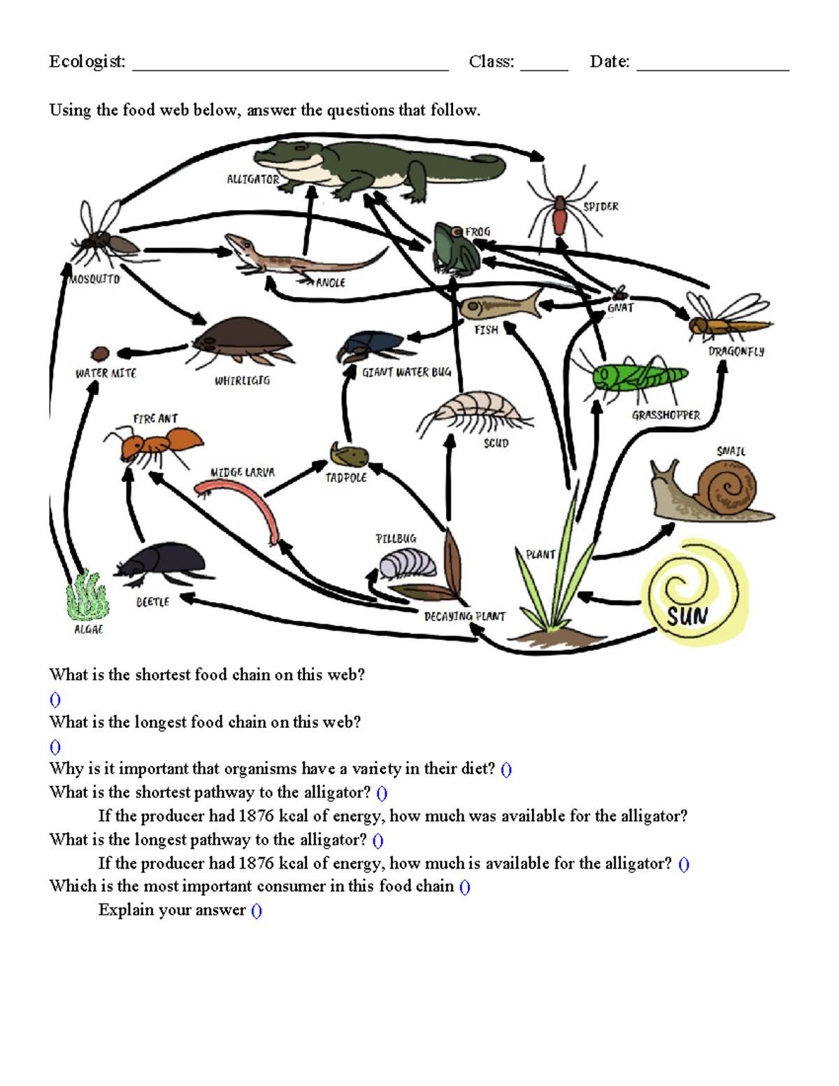 Jasmine Morgan - food webs (online) - Ecologist ...