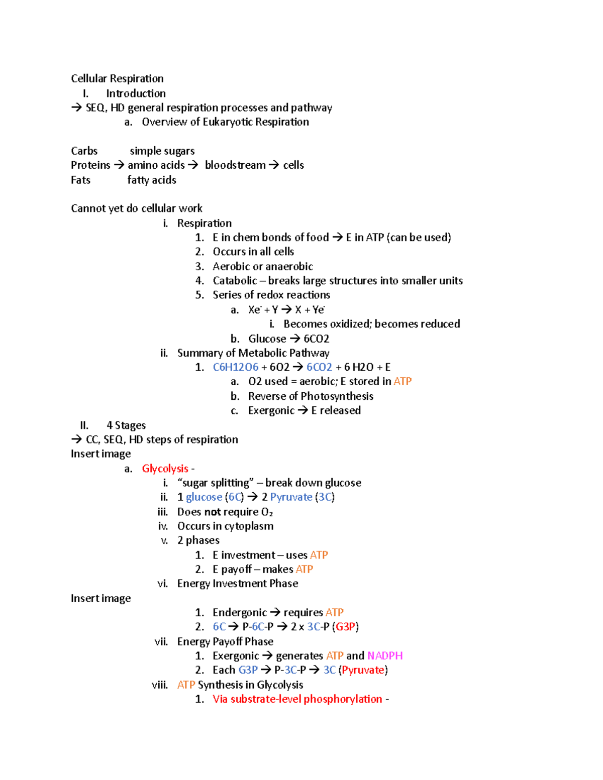 Cellular Respiration - Stern Lecture Notes - Cellular Respiration I ...