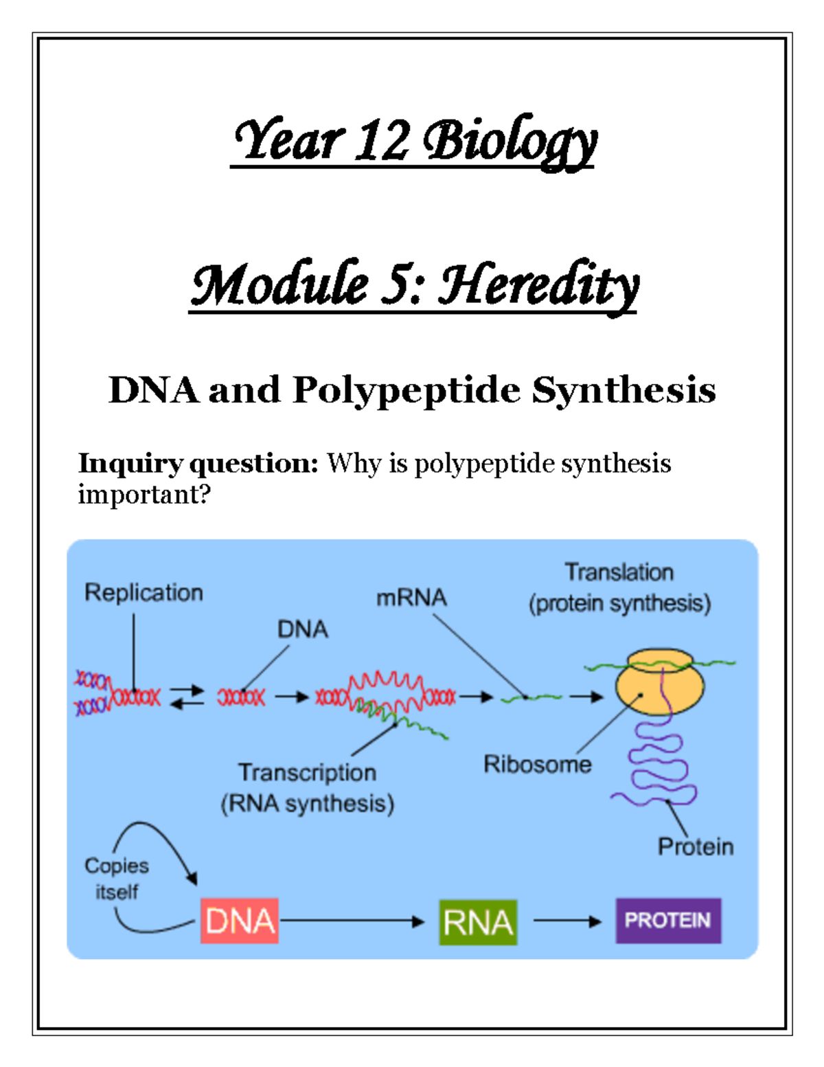 BIO M5 IQ3 Worksheets - Student - Year 1 2 Biology Module 5 : Heredity ...