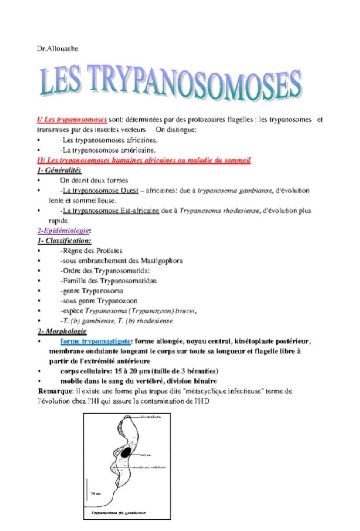 Scanned 20241018 202651 - Dr LES TRYPANOSOMOSES Les trypanosomoses sont ...