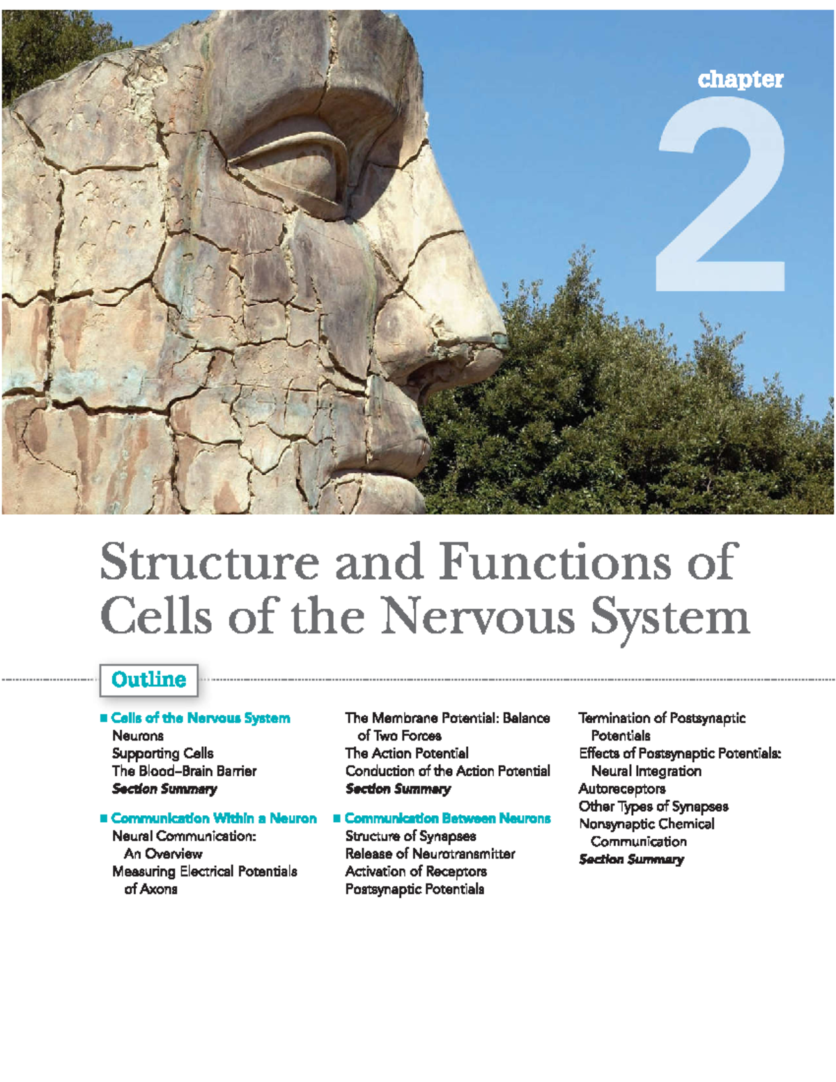 Neuron and Neural conduction - Biopsychology - Studocu
