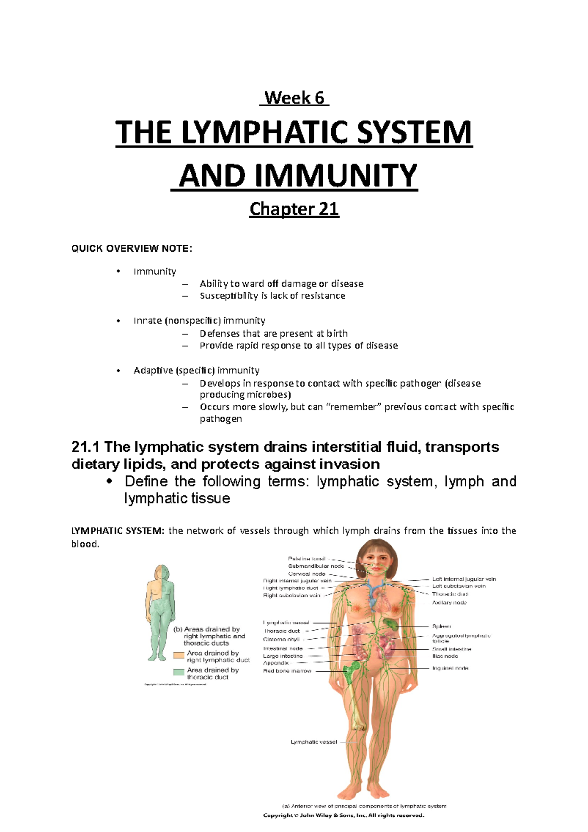 Week 6 - THE LYMPHATIC SYSTEM AND IMMUNITY - Week 6 THE LYMPHATIC ...