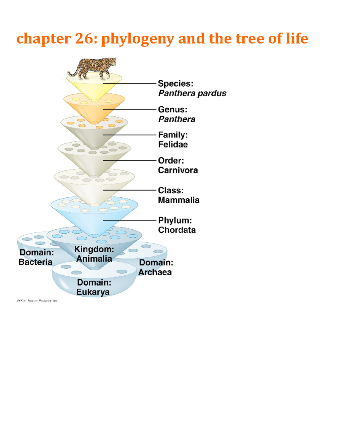 Bio nya 3 A22 edited - Lecture 1 Di Flumeri - chapter 26: phylogeny and ...