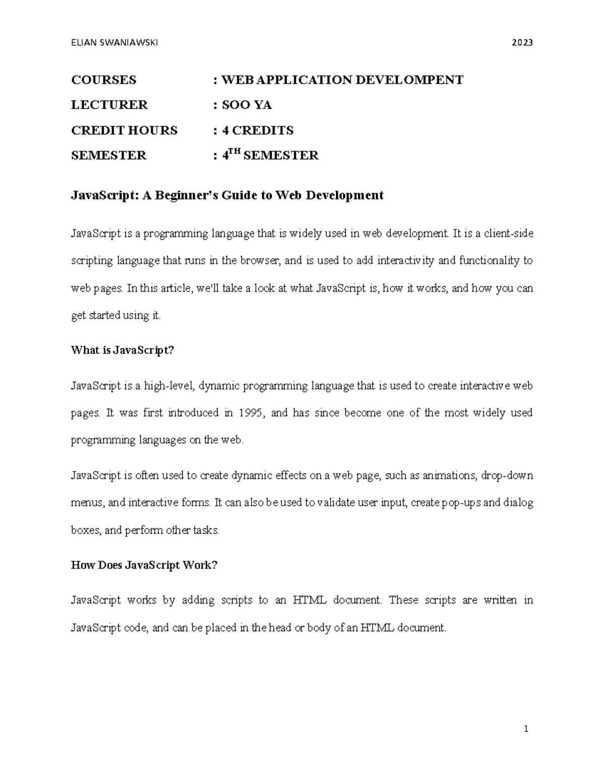 A Beginner's Guide to Web Development - ELIAN SWANIAWSKI 2023 COURSES ...