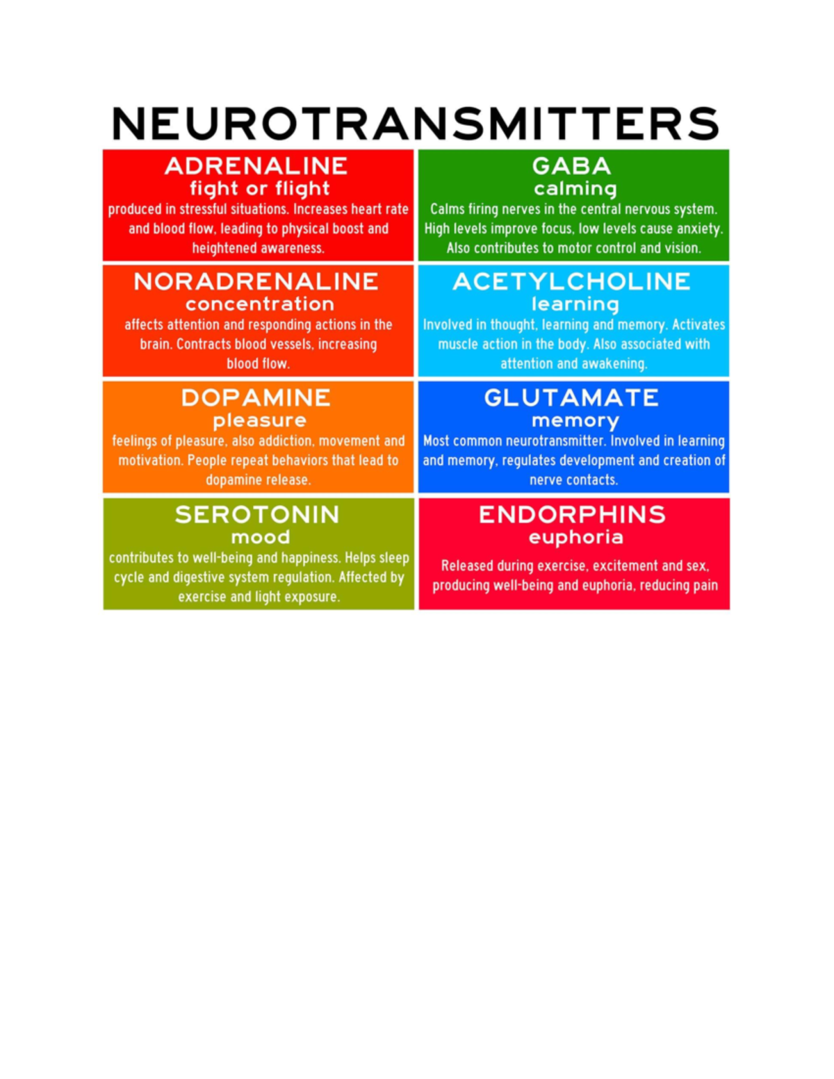 Neurotransmitters and Functions - BS Nursing - Studocu