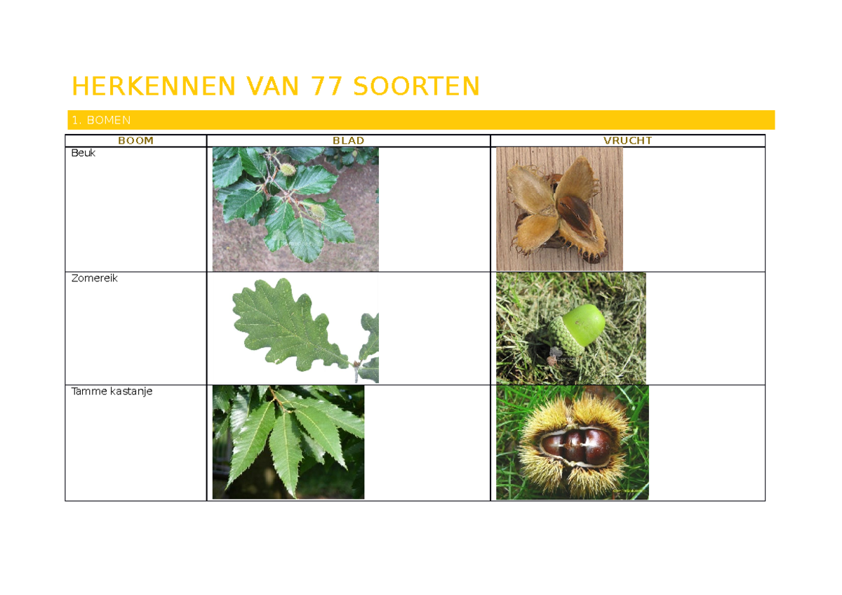 77 soorten herkennen - alle te kennen soorten + foto's - HERKENNEN VAN ...