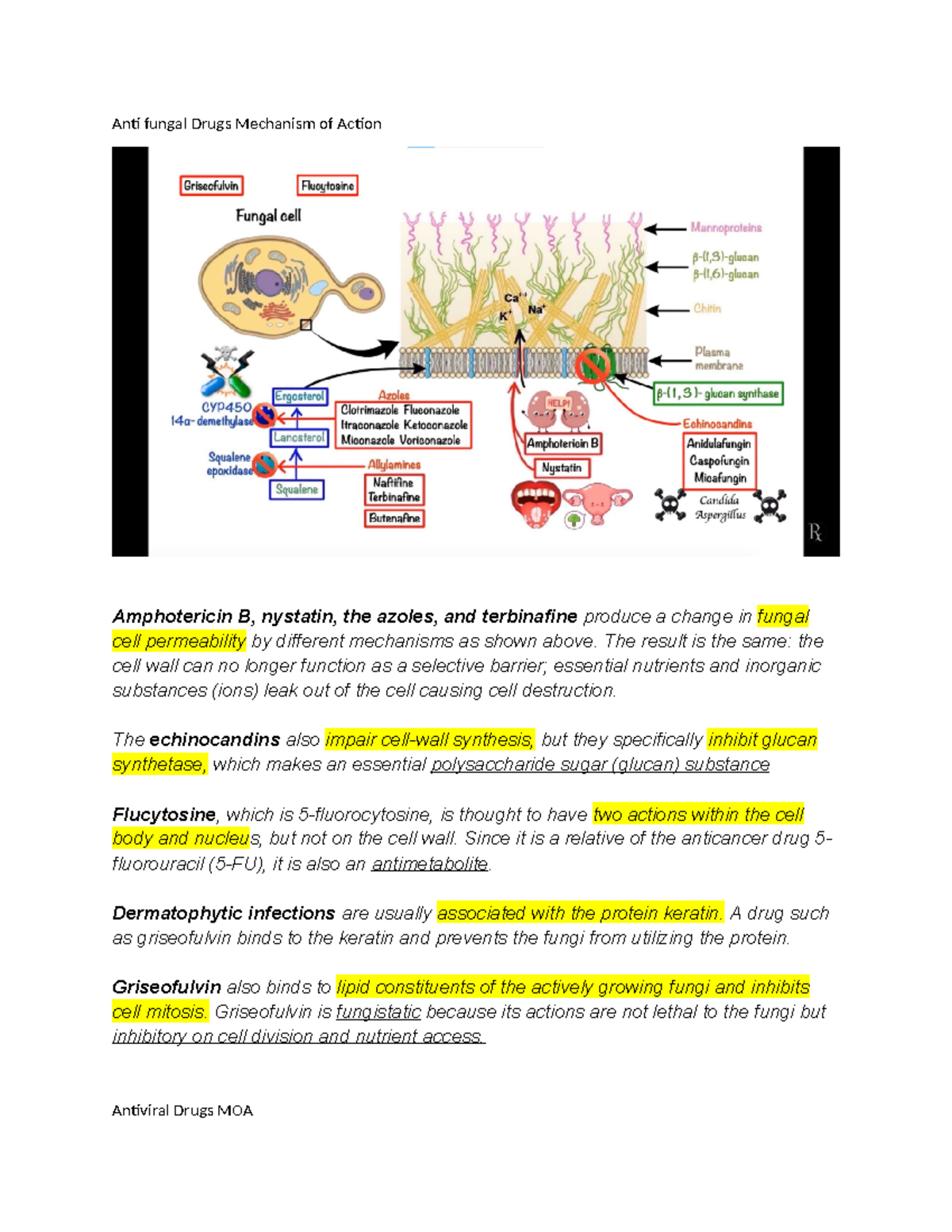 Antifungal Antiviral supplementary lab - Anti fungal Drugs Mechanism of ...