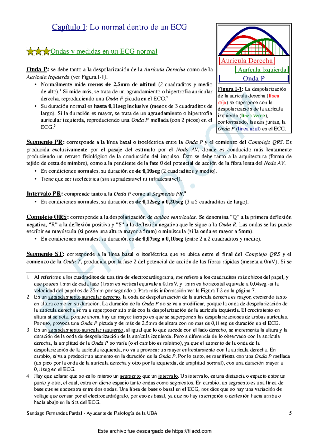 ECG Imprimir - entender electrocardiiograma - Capítulo I: Lo normal ...
