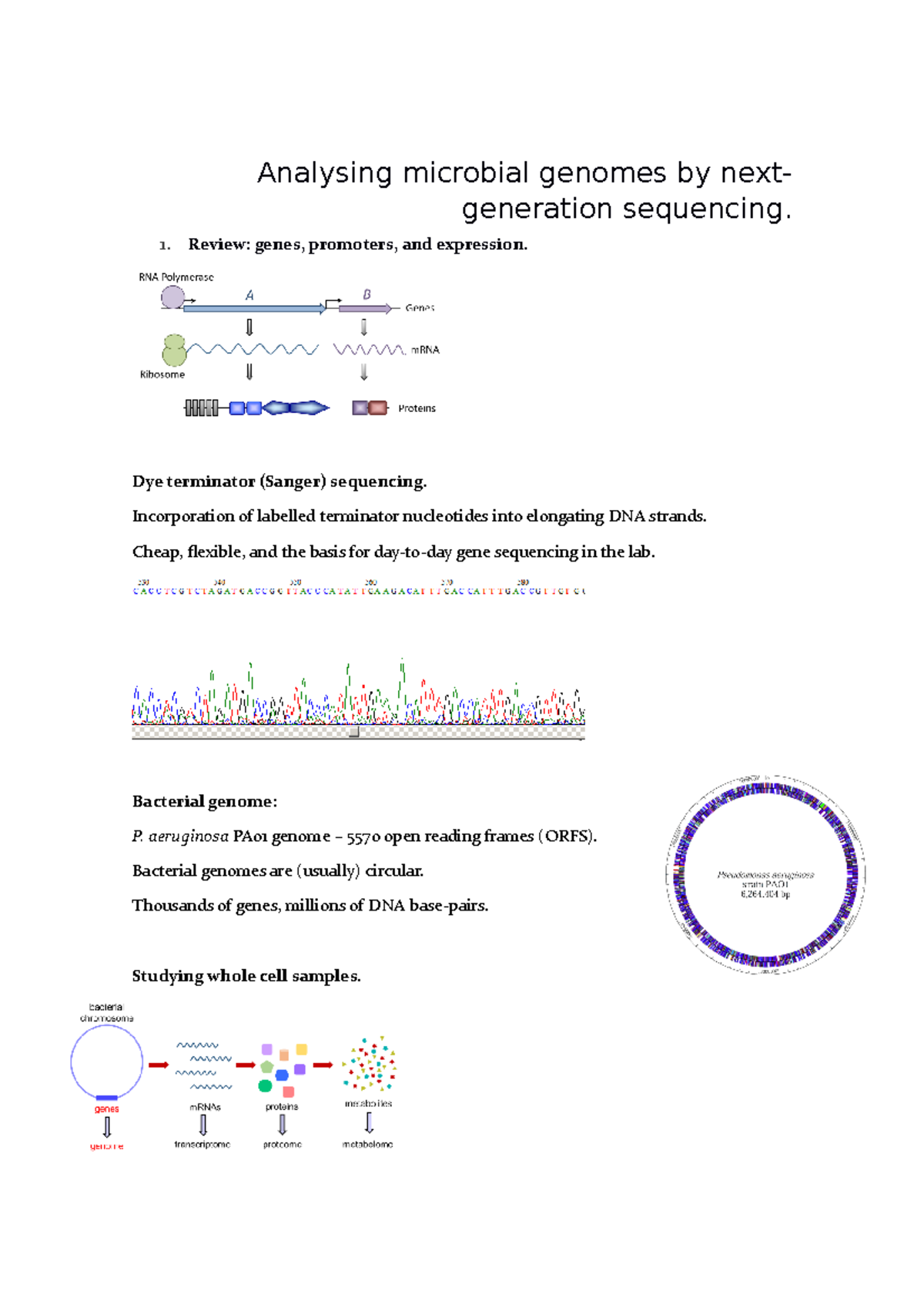 32. Analysing microbial genomes by next-generation sequencing. - 1 ...