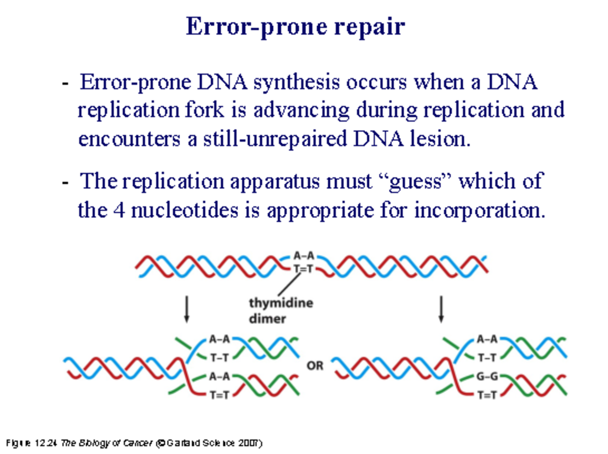 8 - Noted - BS 4400 - Figure 12 The Biology of Cancer (© Garland ...