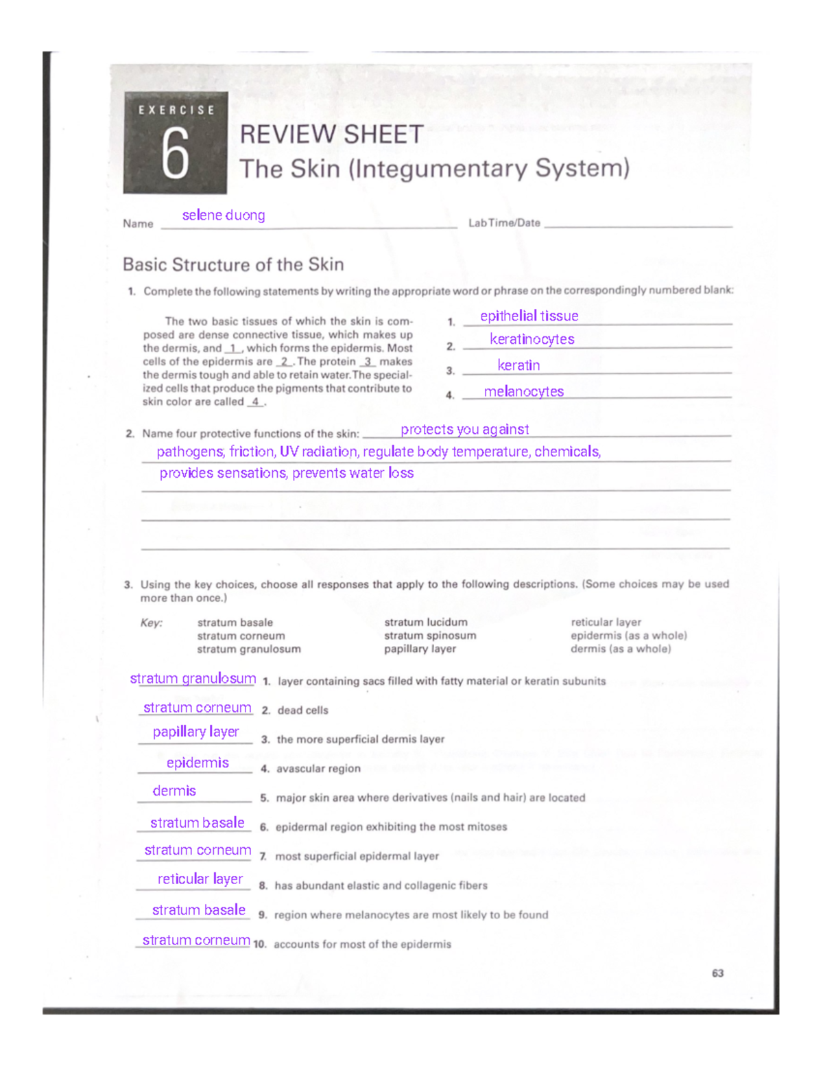 C5 Review Packet - Studocu