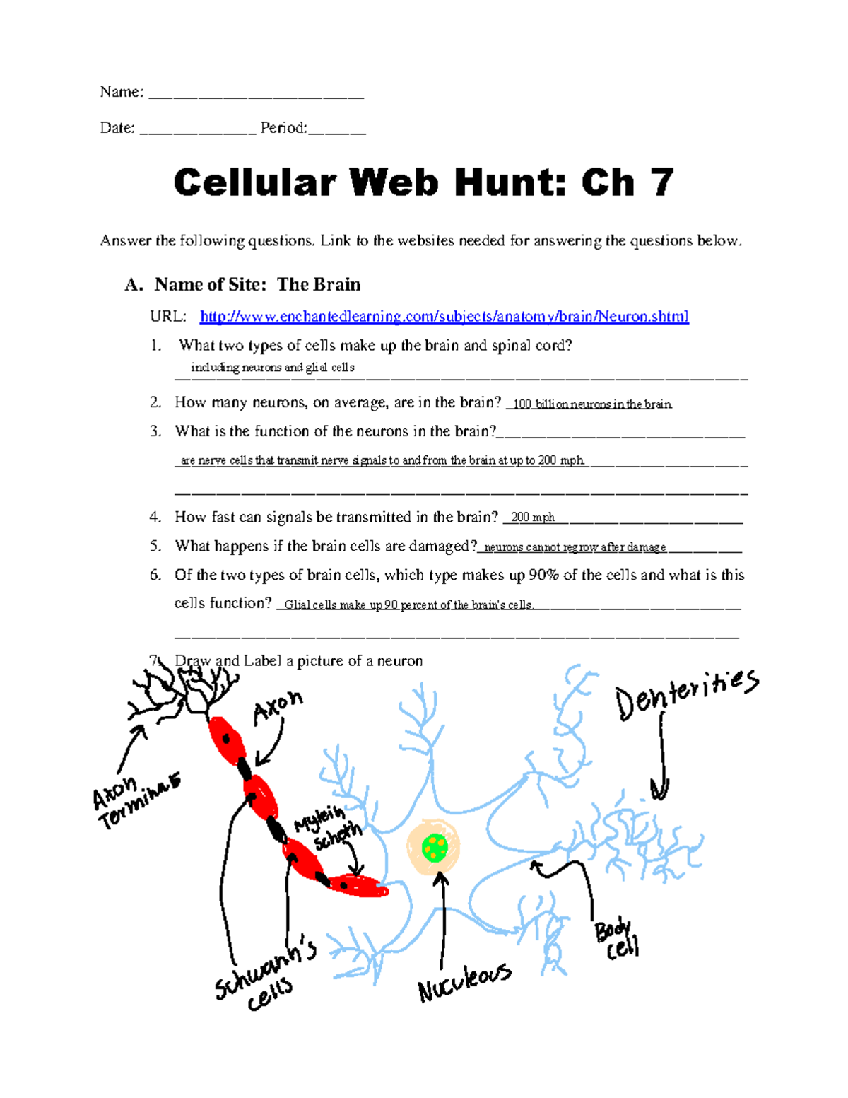 Edgar Soto - cell webquest - Name: __________________________ Date ...