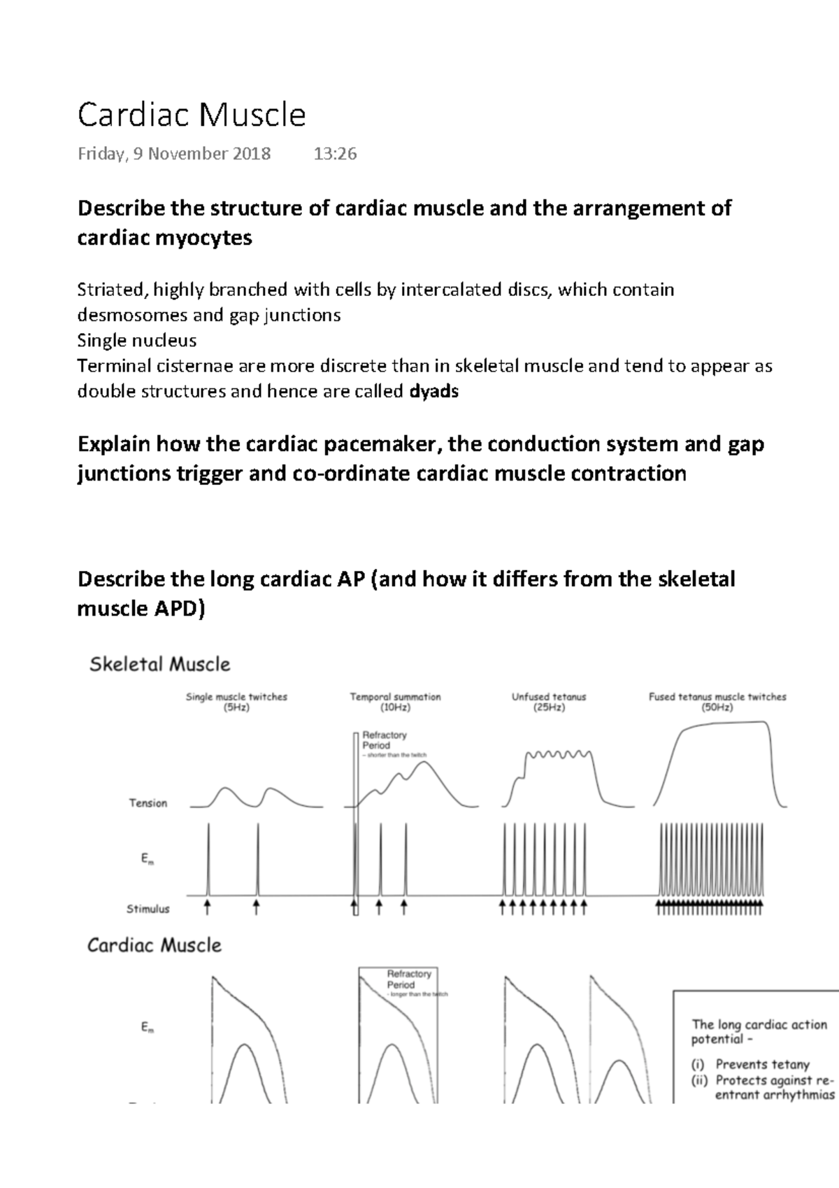 Cardiac Muscle - Describe the structure of cardiac muscle and the ...