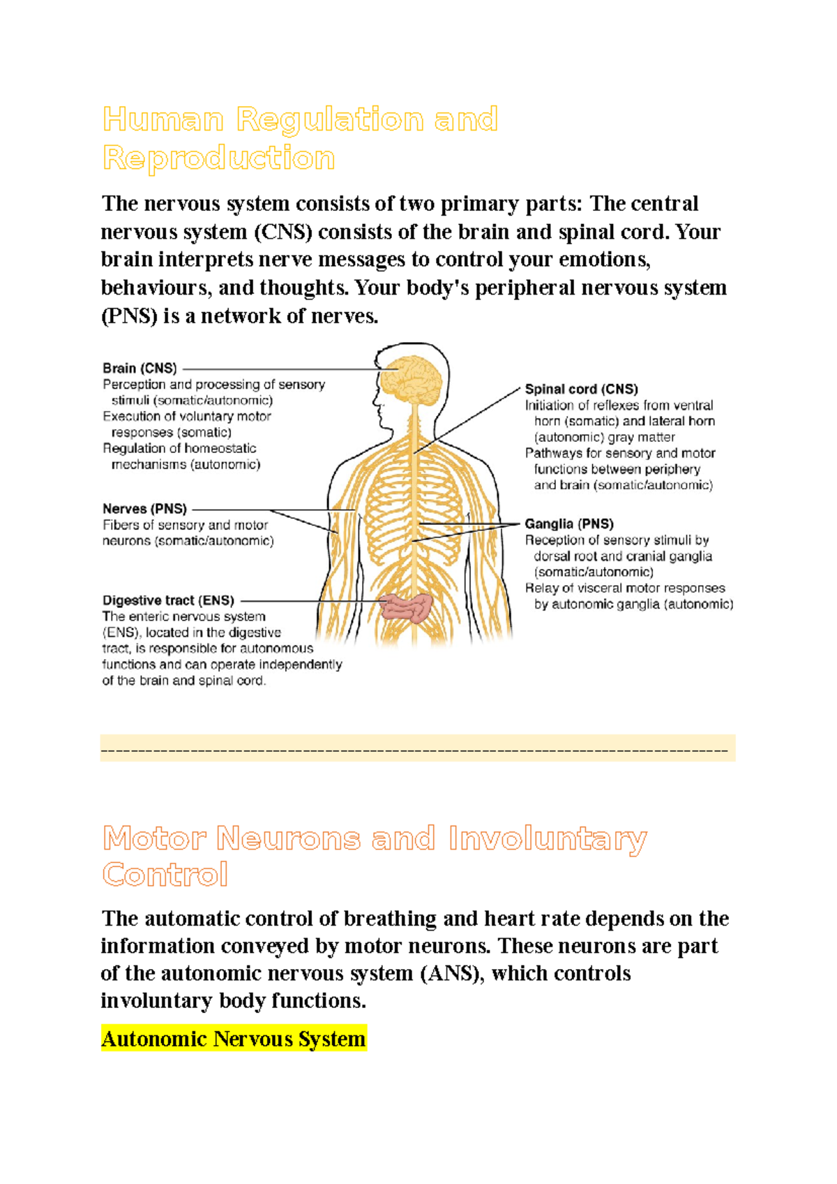 9A Human Regulation and Reproduction - Human Regulation and ...