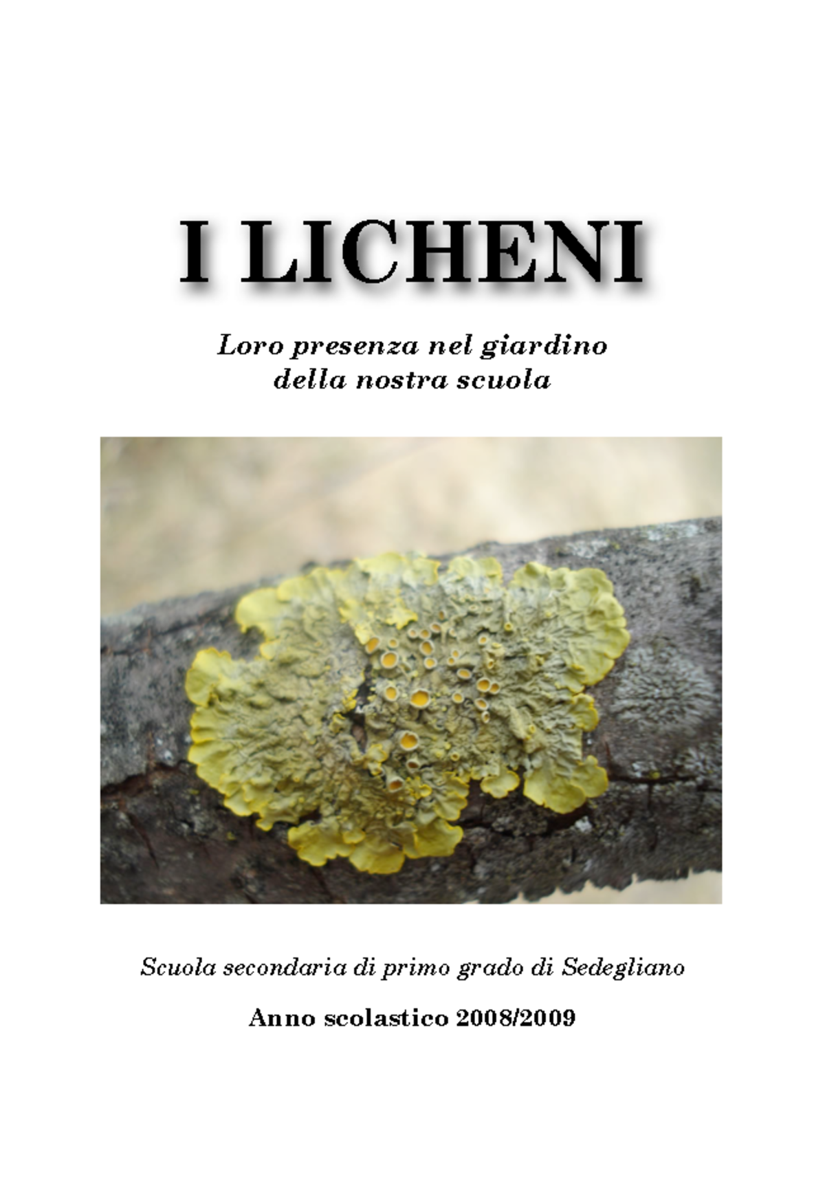 Licheni - I LICHENI Loro presenza nel giardino della nostra scuola ...