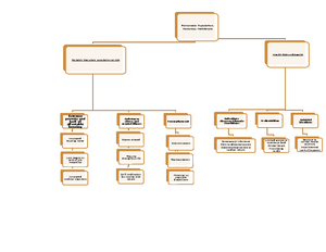 NR586NP Concept Map Summary Worksheet - NR586NP Concept Map Summary ...