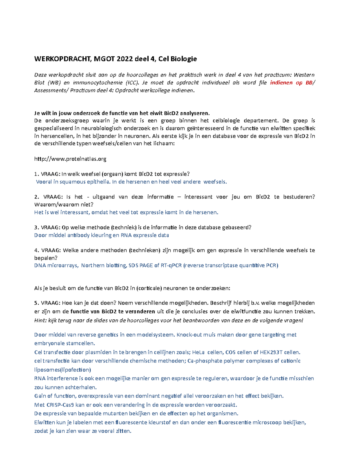 Opdracht Werkcollege MGOT2022 - WERKOPDRACHT, MGOT 2022 deel 4, Cel ...
