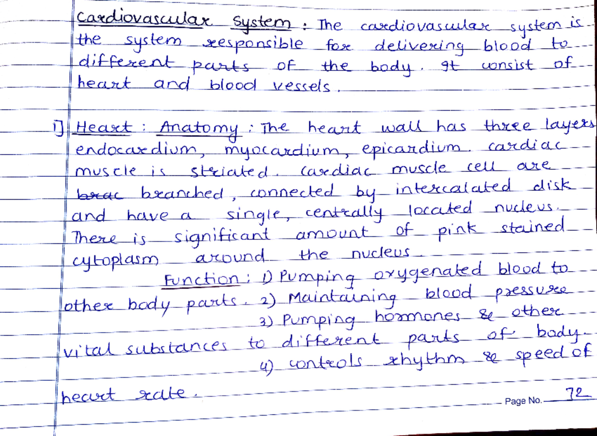 HAP 2 - This are the notes - cardiovascular System : The cardiovascular ...