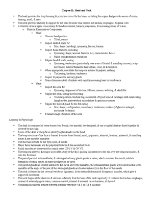 Respiratory Concept Lab Notes - Respiratory Concept Lab When your ...