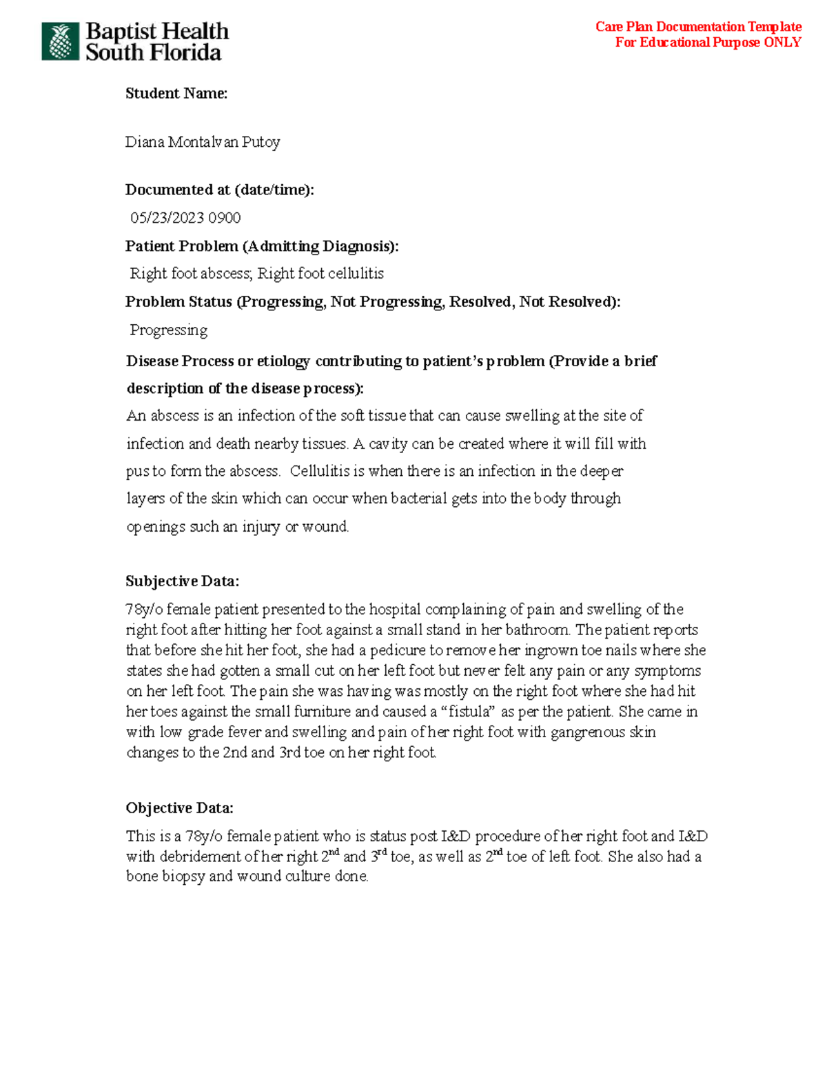 Docucare Care Plan 2 - NUR2220 - MDC - Studocu