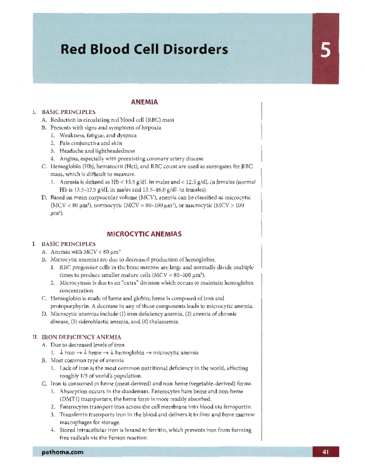 RBC Disorders - niu - Red Blood Cell Disorders ANEMIA I. BASIC ...
