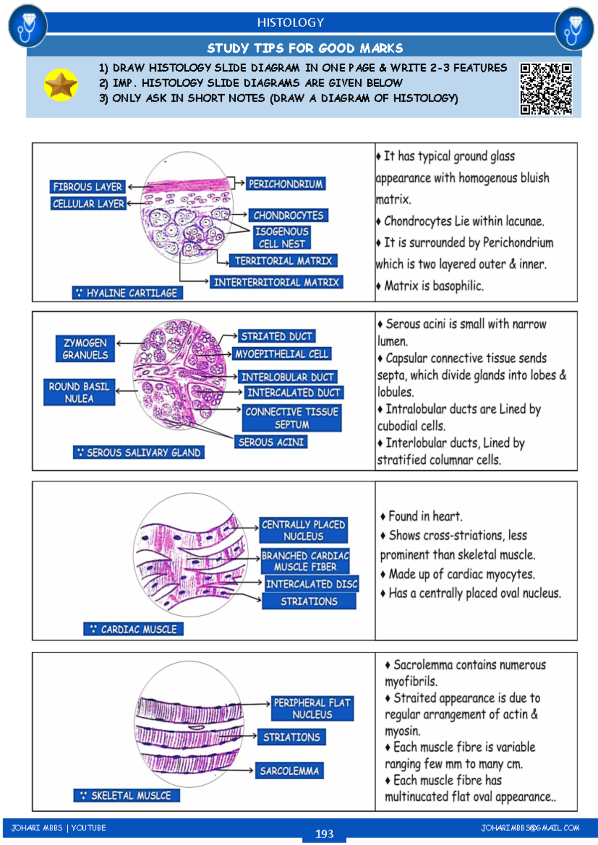 Histology ( Meermind) - Good - anatomy - C STUDY TIPS FOR GOOD MARKS 1 ...