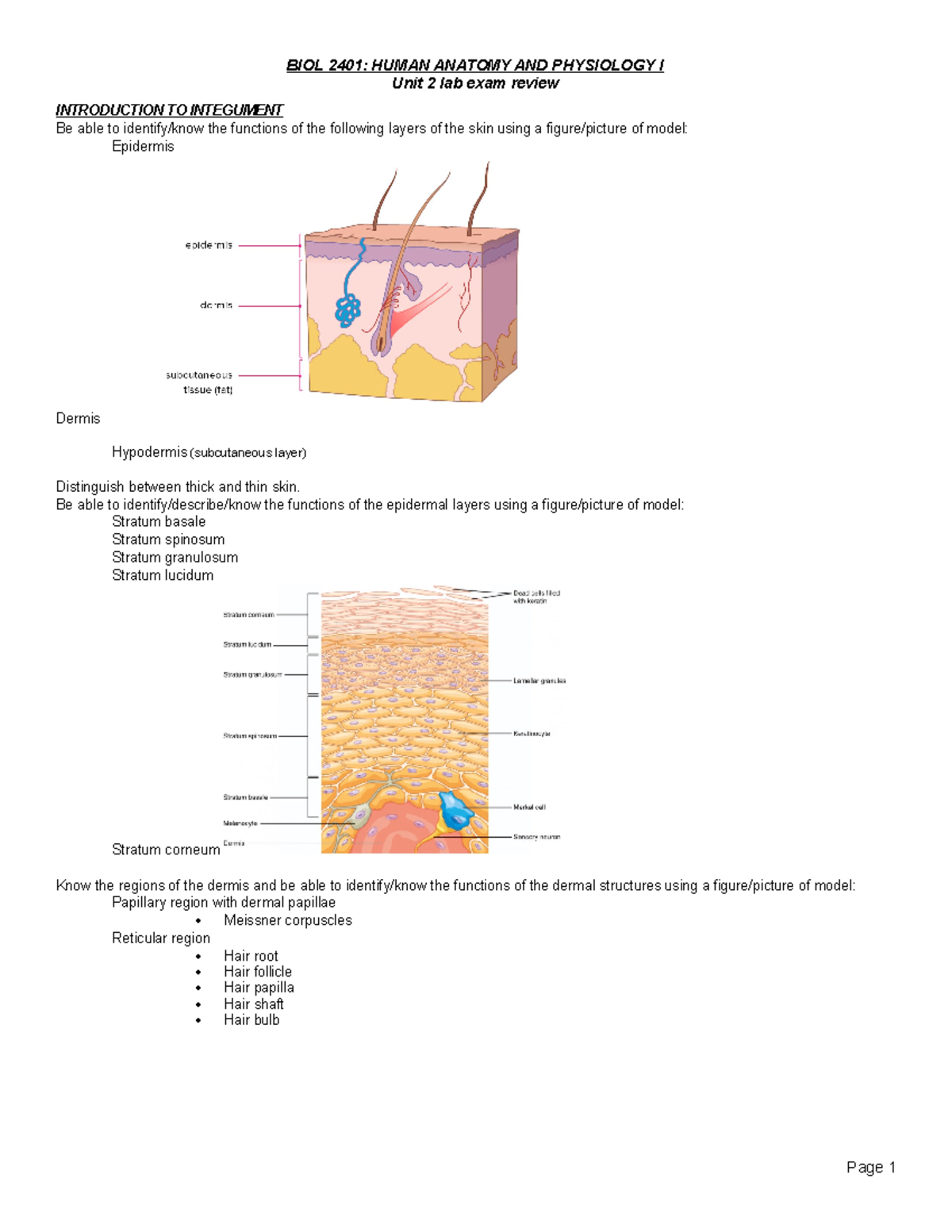 Unit 2 lab exam review - practice work - Unit 2 lab exam review ...