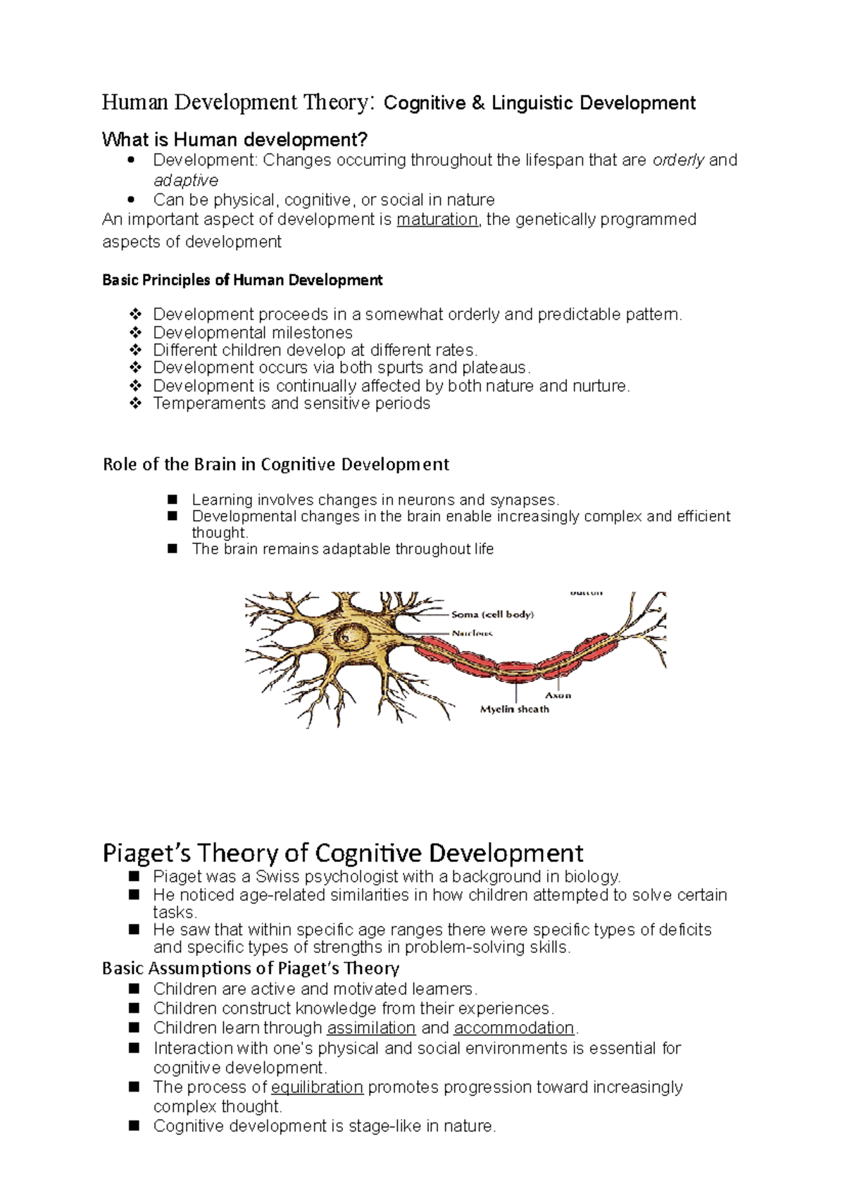 3Human Development Theory. notesdocx - Human Development Theory ...