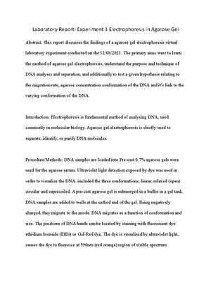 Presentation and Analysis of Data Assignment Results - Studocu