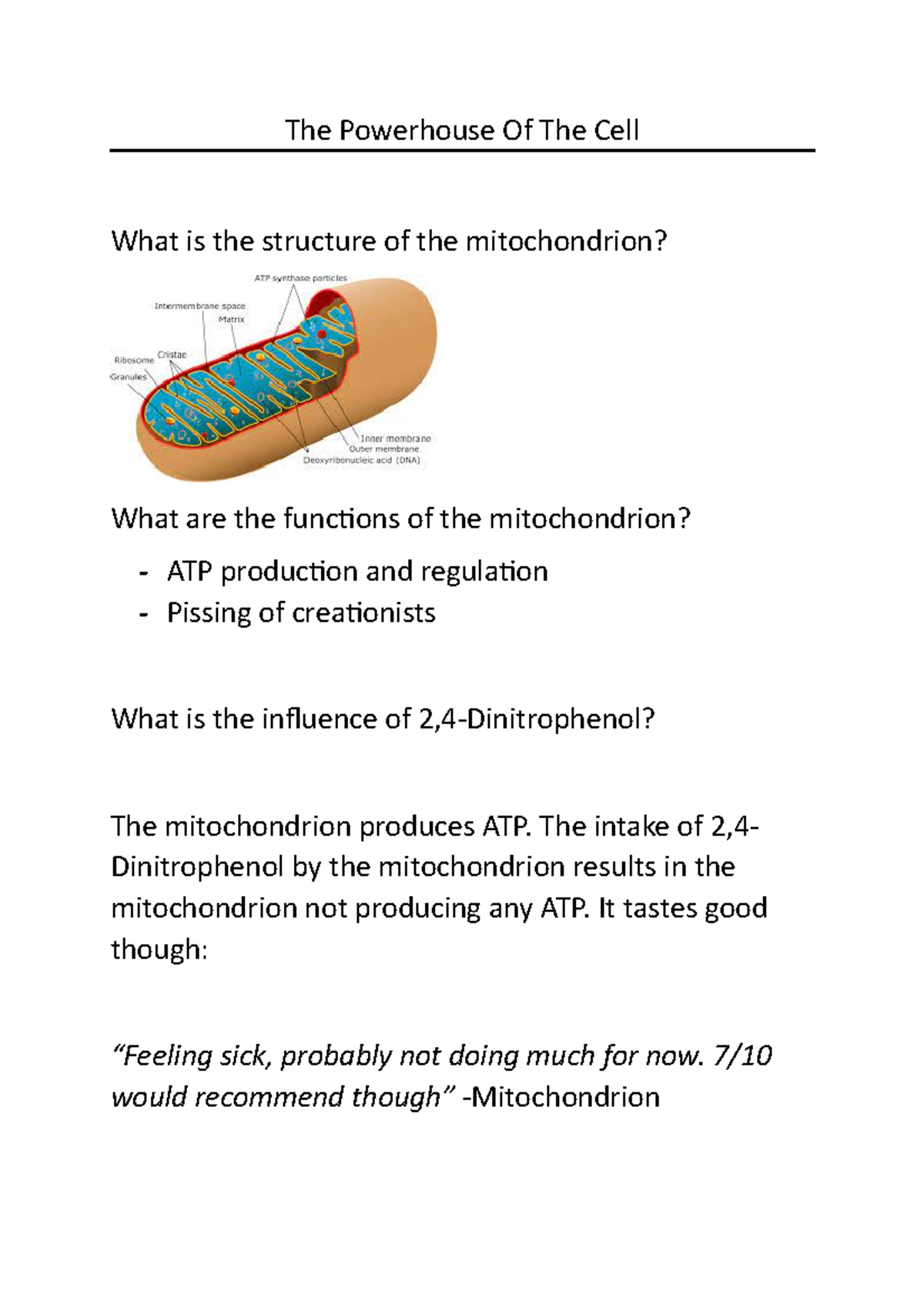 Case 7 The Mitochondrion - The Powerhouse Of The Cell What is the ...