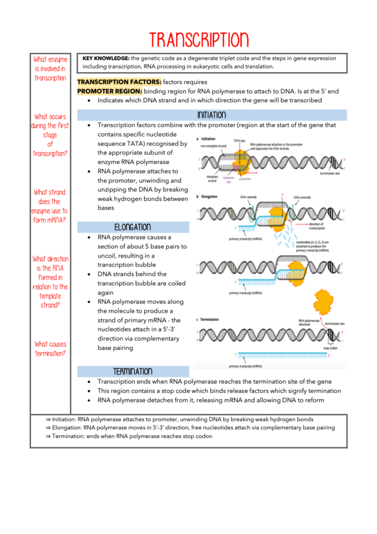 Vce biology notes sample - Studocu
