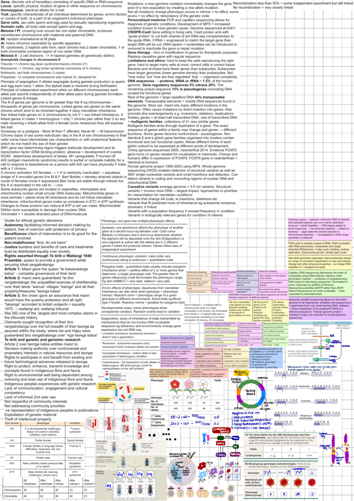 Genetics cheat sheet - Life! Origins and Mechanisms - Nation #NewDN ...