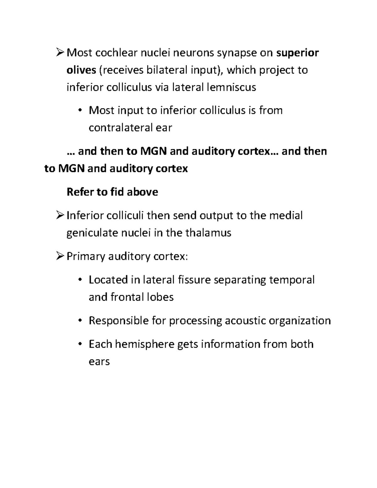 10 - Lecture notes 12 - Most cochlear nuclei neurons synapse on ...