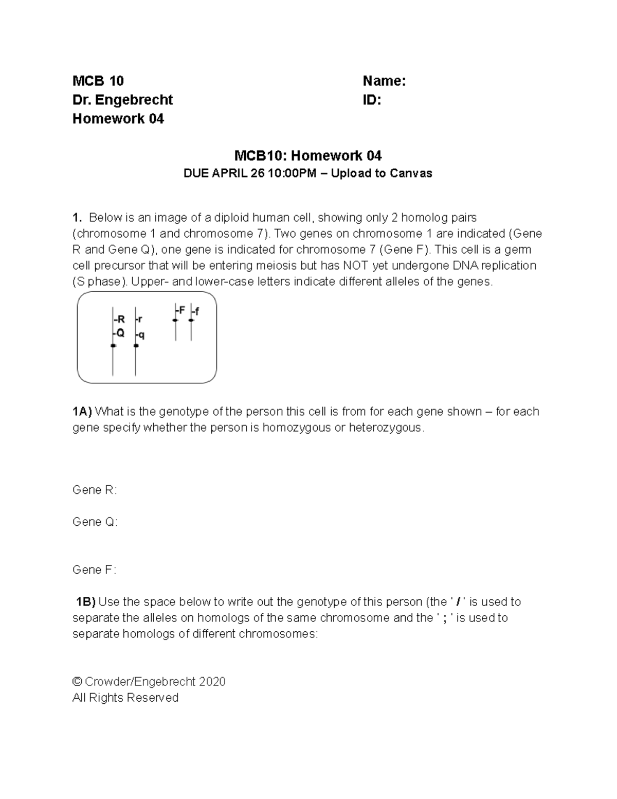 MCB Homework Week #4 - MCB 10 Name: Dr. Engebrecht ID: Homework 04 ...
