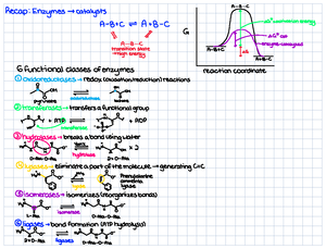 Lecture 15 - Fall Biochemistry I: Professor Weerapana - Recap Structure ...