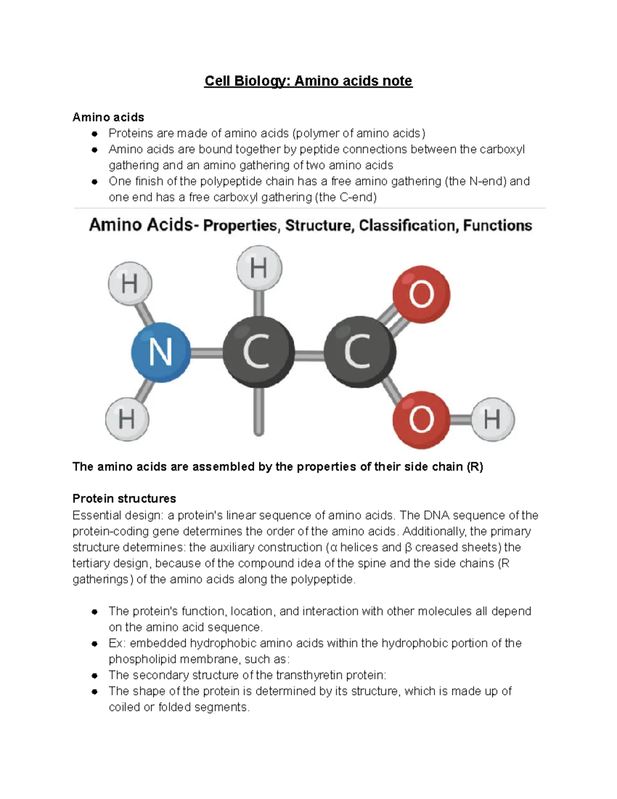 Cell Biology Amino acids note - Cell Biology: Amino acids note Amino ...