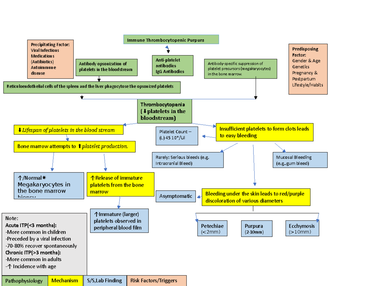 ITP-Concept Map - Immune Thrombocytopenia Purpura Concept Map ...